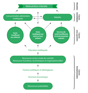 Les causes de la malnutrition - CNDN