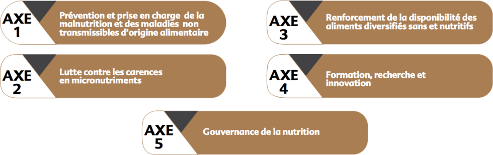 schéma de mise en oeuvre - CNDN